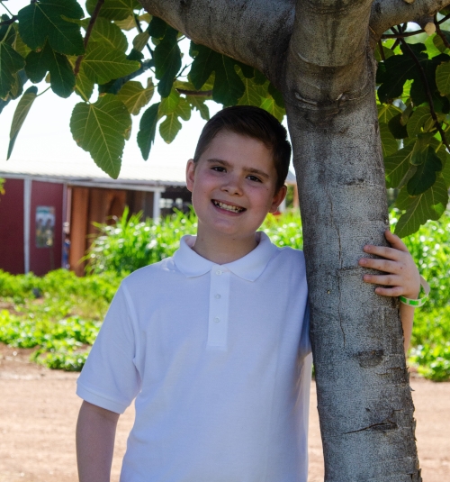 The Children's Heart Gallery